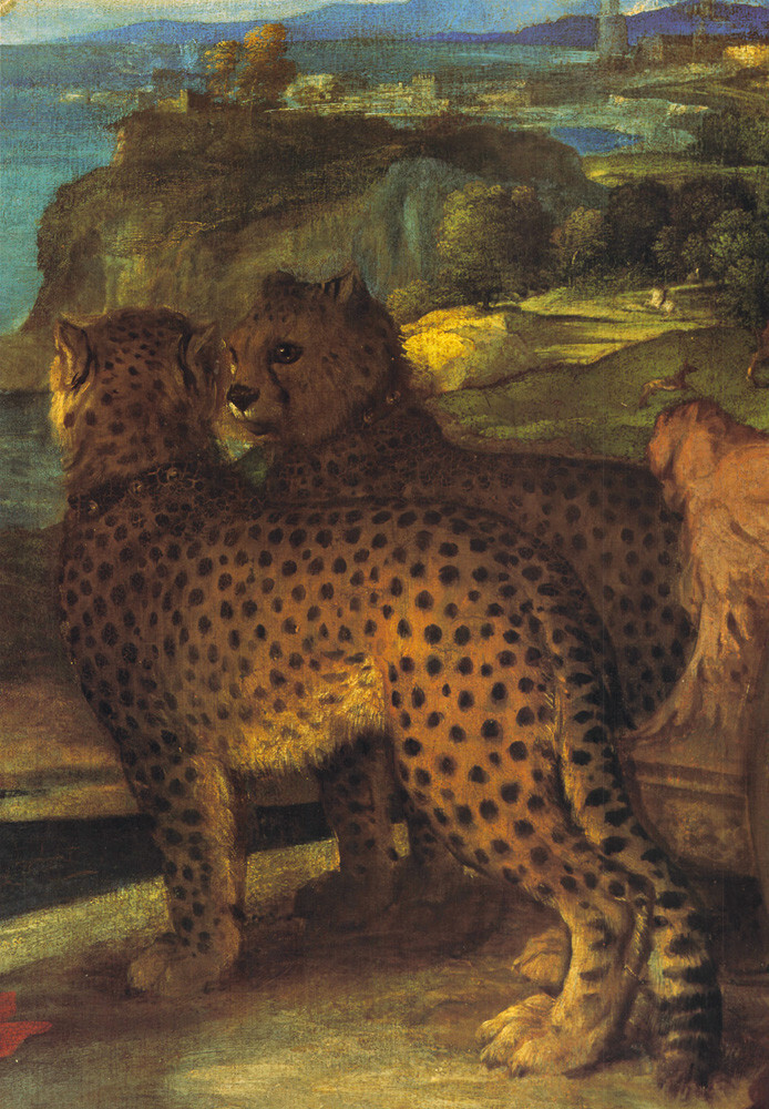 Detail From Bacchus And Ariadne 1521 3 Art Print By Titian King And Mcgaw 