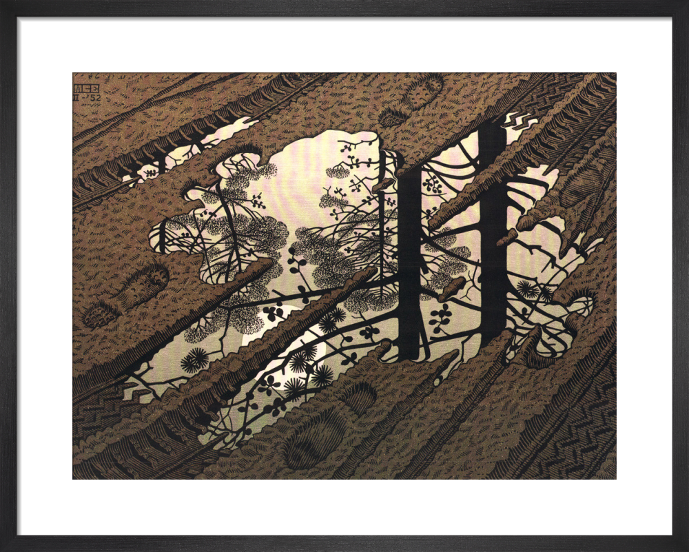 Puddle Art Print by M.C. Escher | King & McGaw