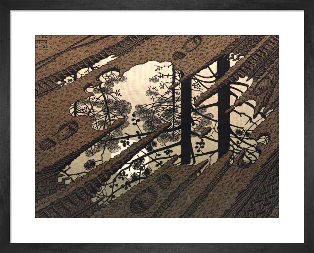 Puddle Art Print by M.C. Escher | King & McGaw