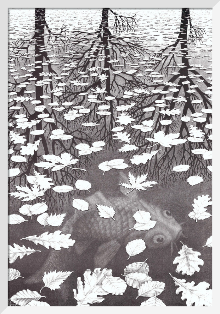 Mc Escher Flower | Best Flower Site