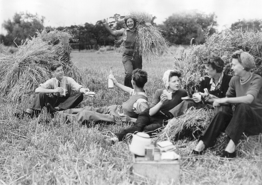 Farm holiday picnic, 1945 Art Print by Mirrorpix | King & McGaw