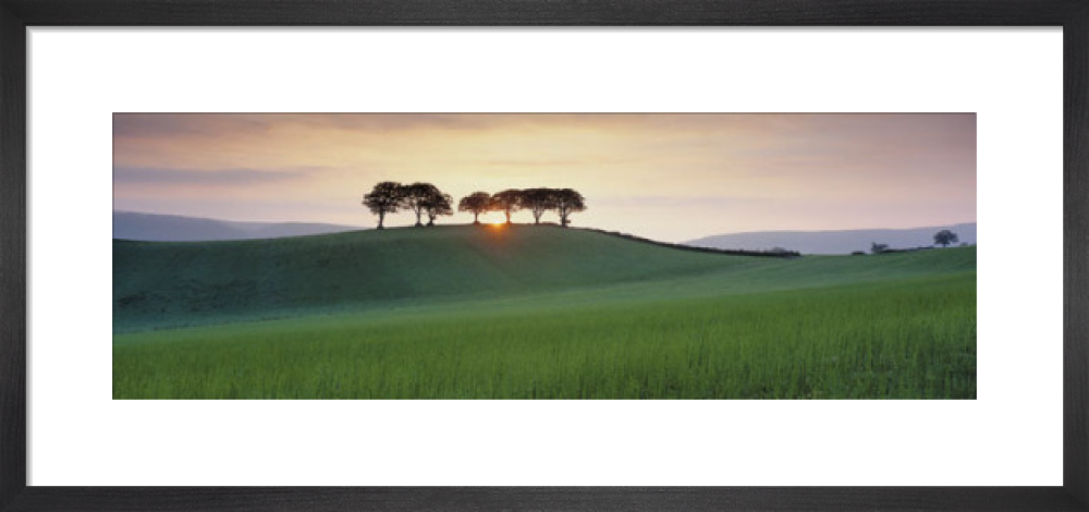 Somerset Sunrise Art Print by David Noton | King & McGaw
