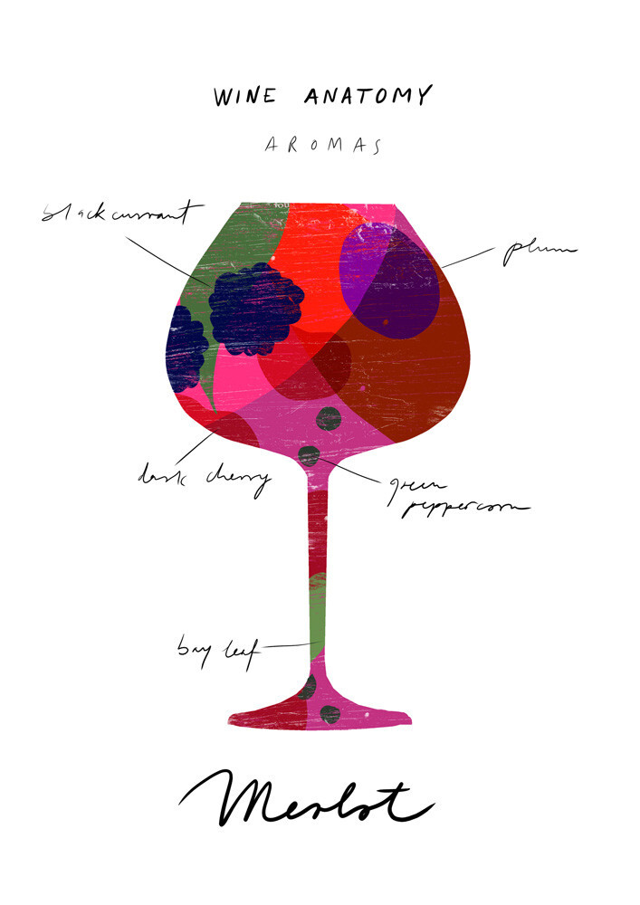 Wine Anatomy: Merlot Art Print by Ana Zaja Petrak | King & McGaw