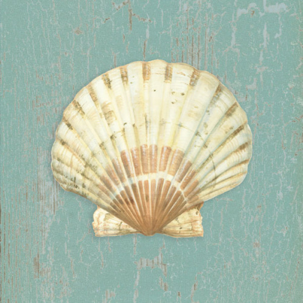 Scallop Shell Art Print by Lisa Danielle | King & McGaw