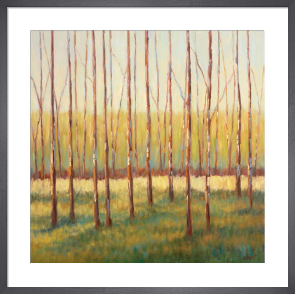 Grove of Trees Art Print by Libby Smart | King & McGaw