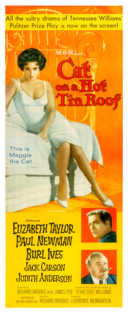 Cat on a Hot Tin Roof Art Print by Cinema Greats | King & McGaw