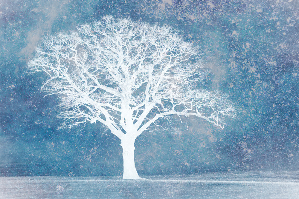 Ice Dream Art Print by Doug Chinnery | King & McGaw