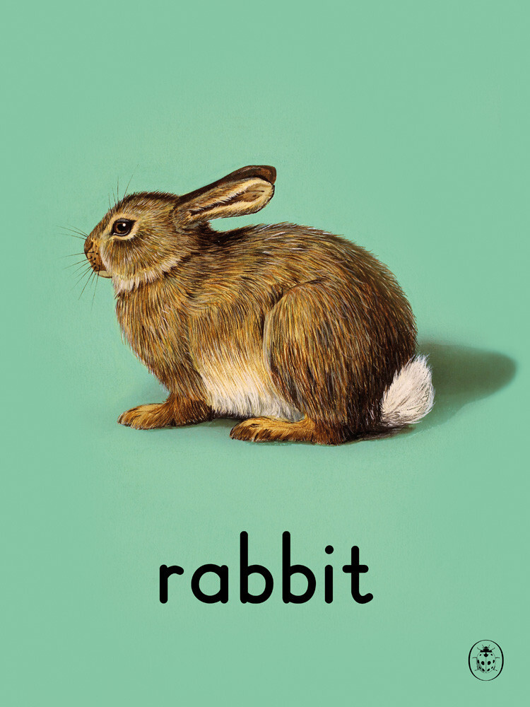 rabbit Art Print by Ladybird Books | King & McGaw