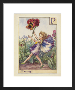 Mallow Fairy Art Print by Cicely Mary Barker | King & McGaw