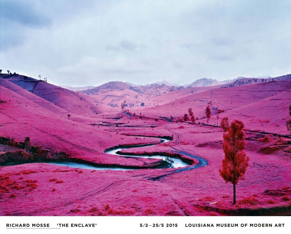 The Enclave Poster by Richard Mosse | King & McGaw