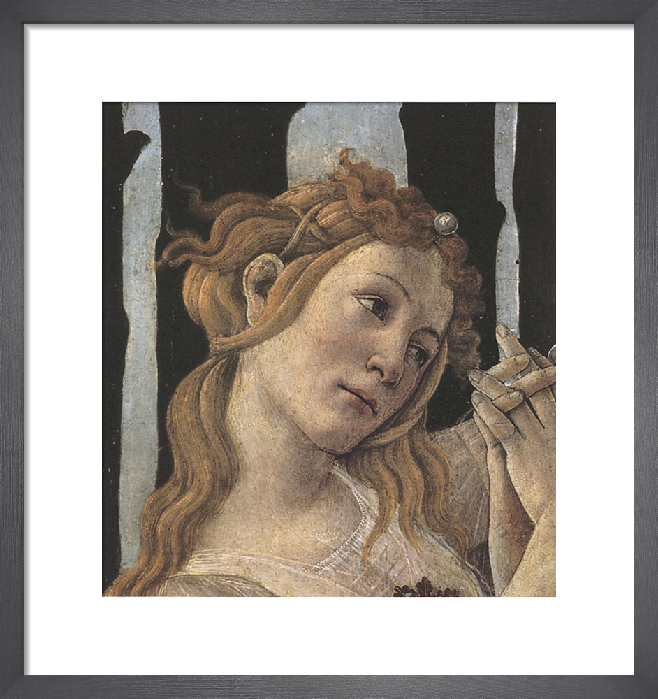 La Primavera (Detail) Art Print by Sandro Botticelli | King & McGaw